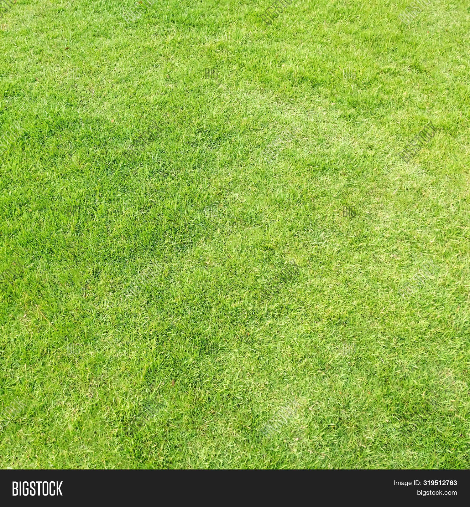Green Grass Texture Image & Photo (Free Trial) | Bigstock