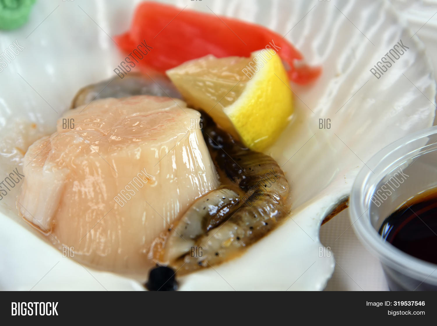Raw Scallop Shell Image & Photo (Free Trial) | Bigstock