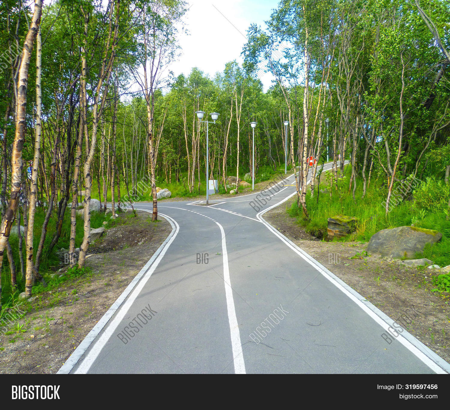 Asphalt Bicycle Paths Image & Photo (Free Trial) | Bigstock