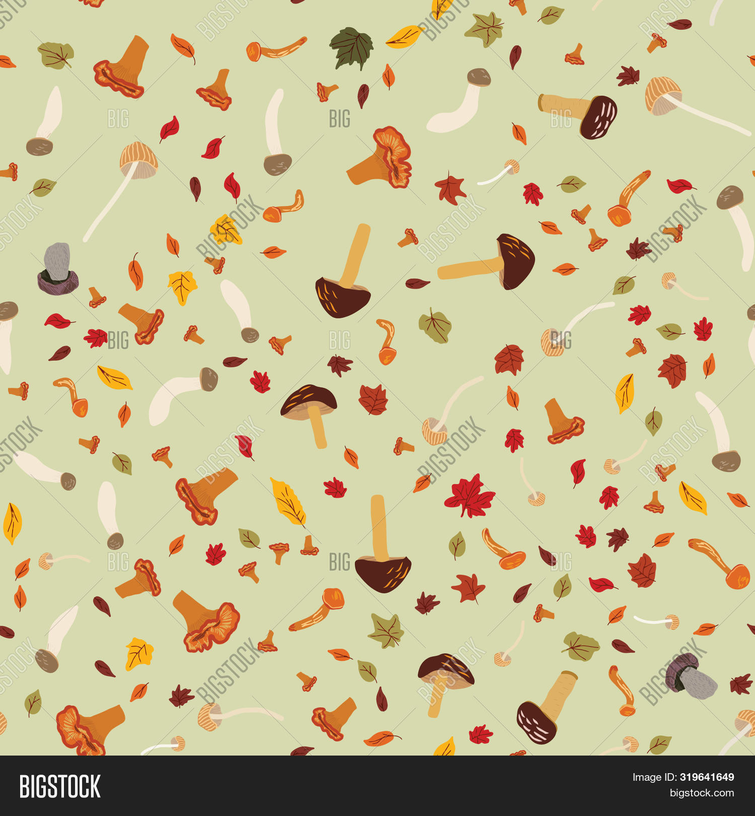 Square Border Chestnut Image & Photo (Free Trial) | Bigstock