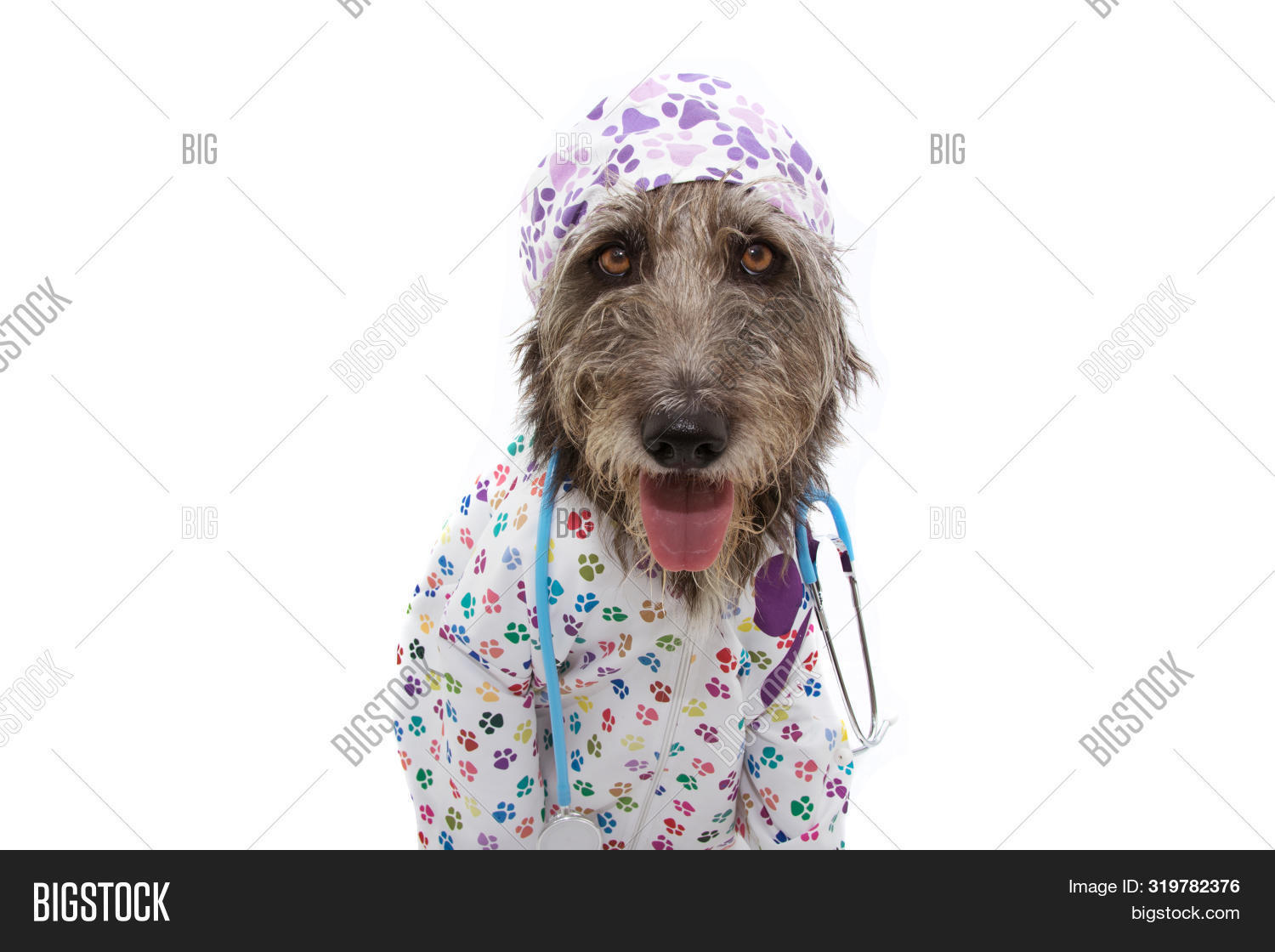 Dog Dressed Veterinary Image & Photo (Free Trial) | Bigstock