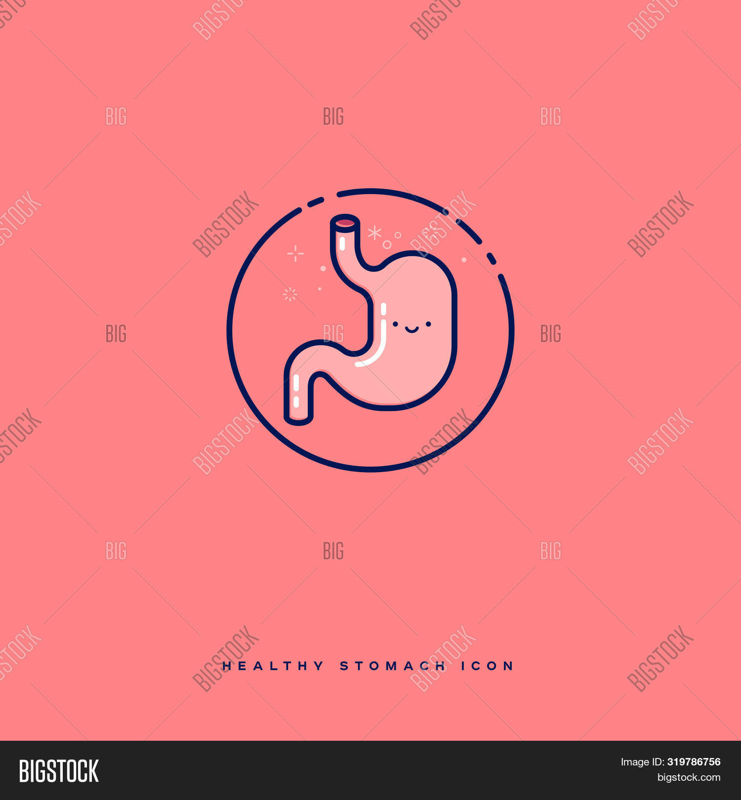 Healthy Stomach Icon Vector & Photo (Free Trial) | Bigstock