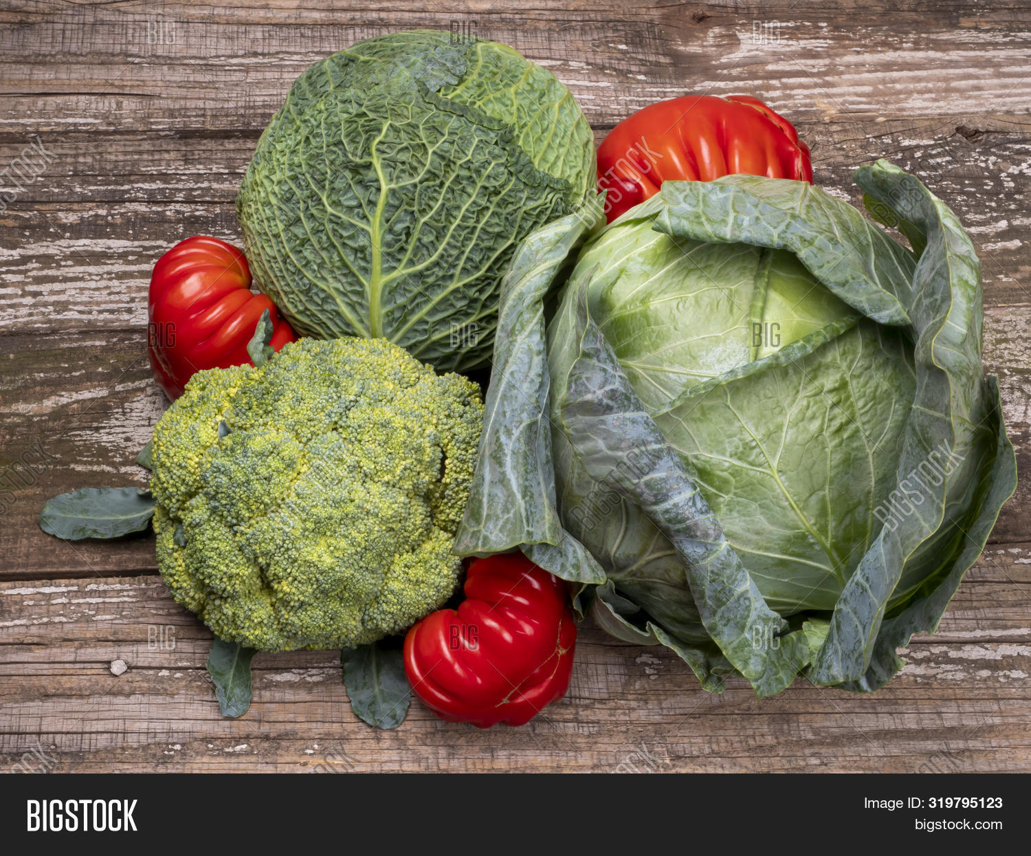 Assorted Cabbage. Image & Photo (Free Trial) | Bigstock