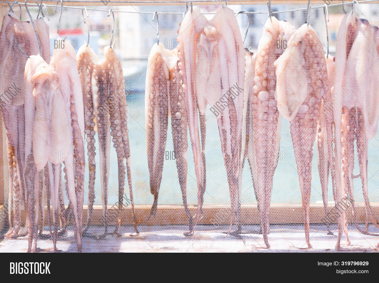 Sun Dried Octopus Image & Photo (Free Trial) | Bigstock