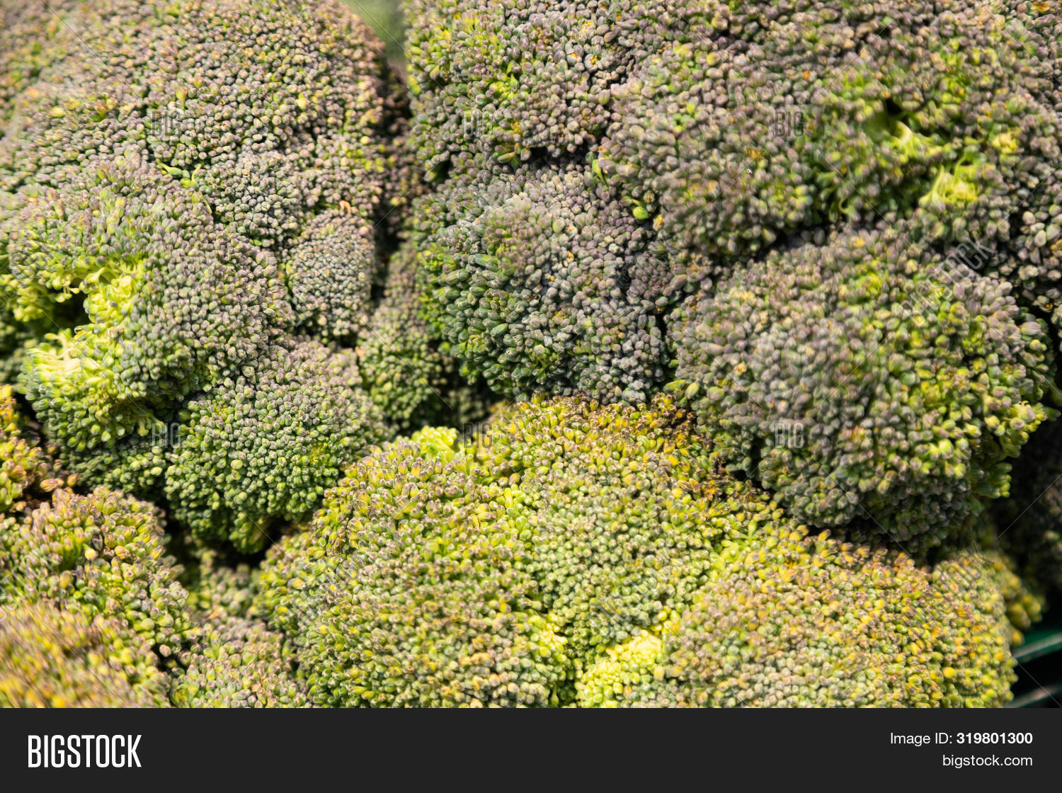 Ripe Crispy Broccoli Image & Photo (Free Trial) | Bigstock