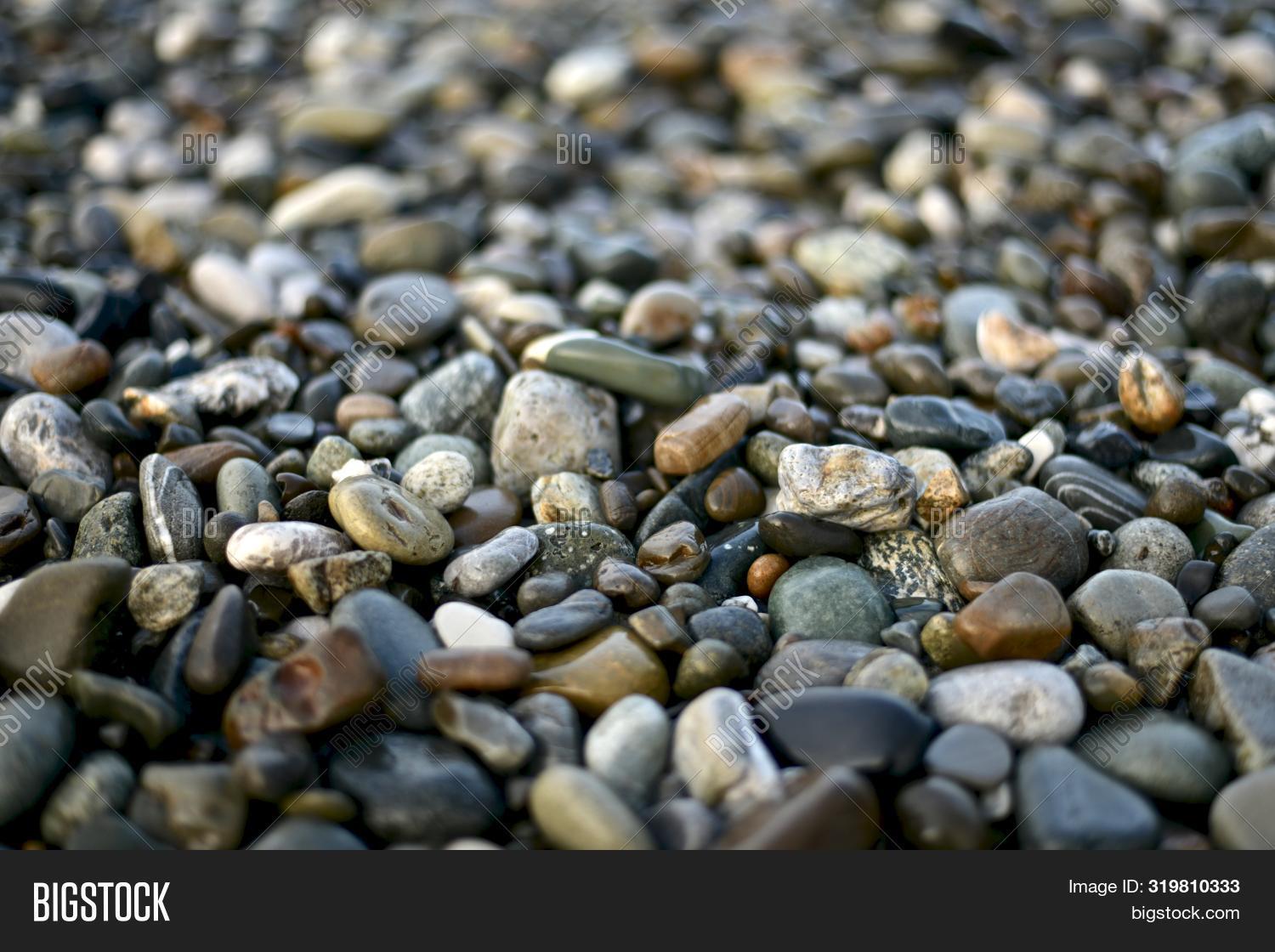 Wet Sea Pebbles Medium Image & Photo (Free Trial) | Bigstock