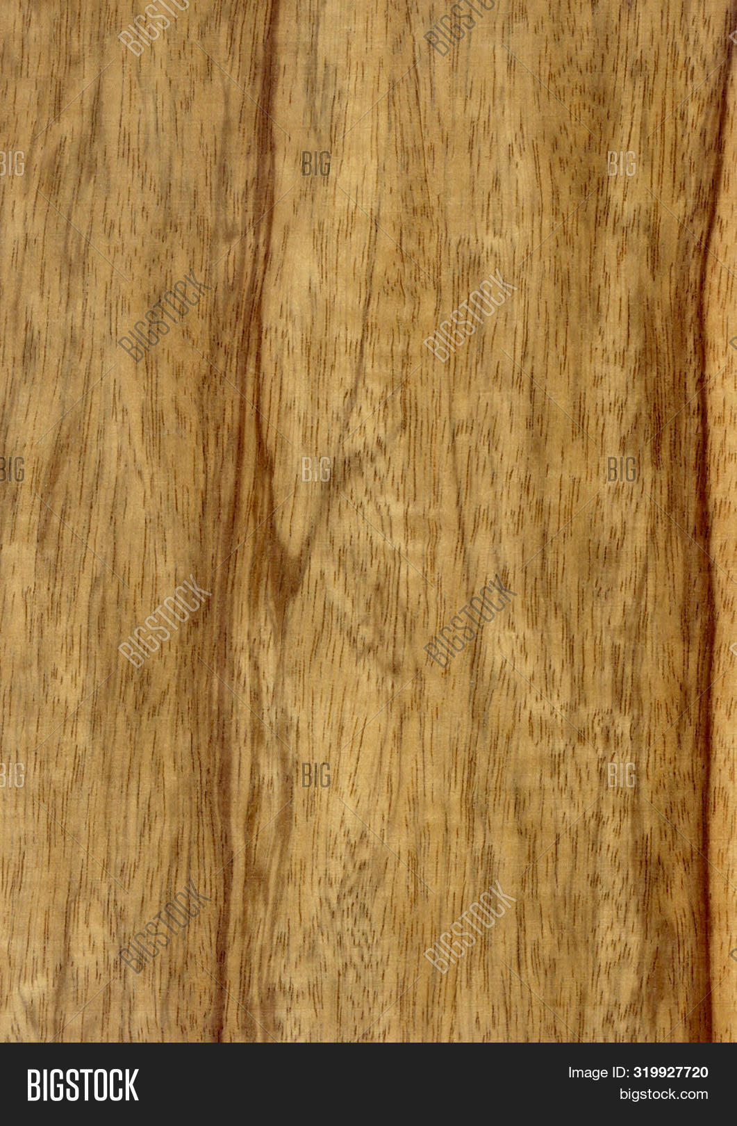 Closeup Real Natural Image & Photo (Free Trial) | Bigstock