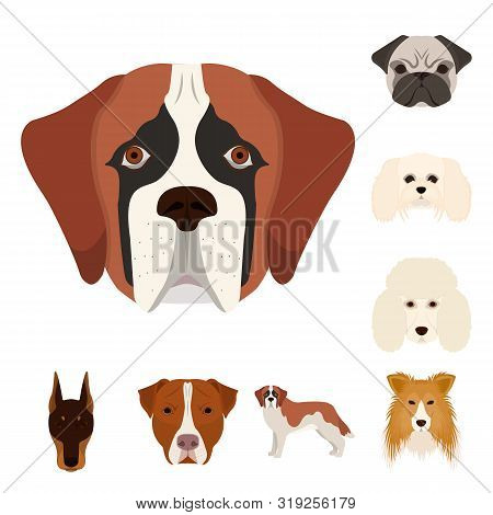 Bitmap Images, Illustrations & Vectors (Free) - Bigstock