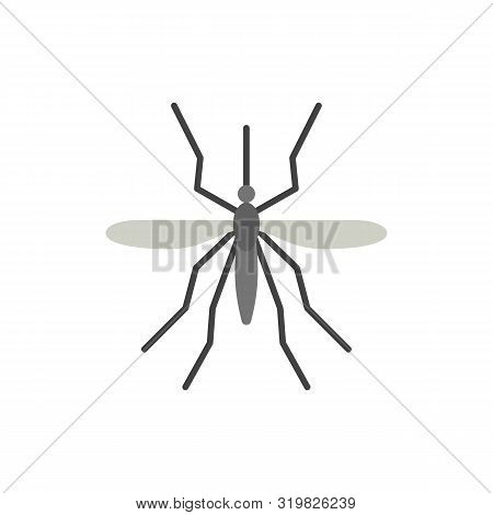 Mosquito Single Flat Vector & Photo (Free Trial) | Bigstock