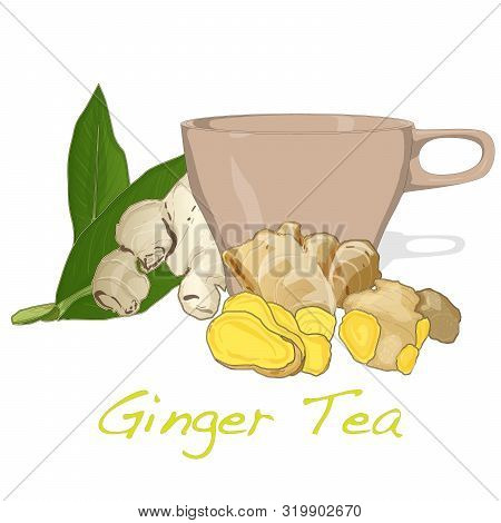 Imagen y foto Ginger Tea Vector (prueba gratis) | Bigstock