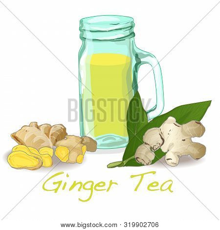 Ginger Tea Vector Image & Photo (Free Trial) | Bigstock