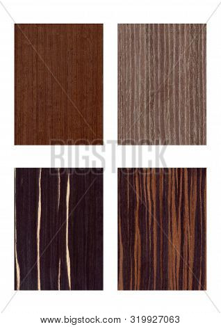 Samples Veneer Wood Image & Photo (Free Trial) | Bigstock