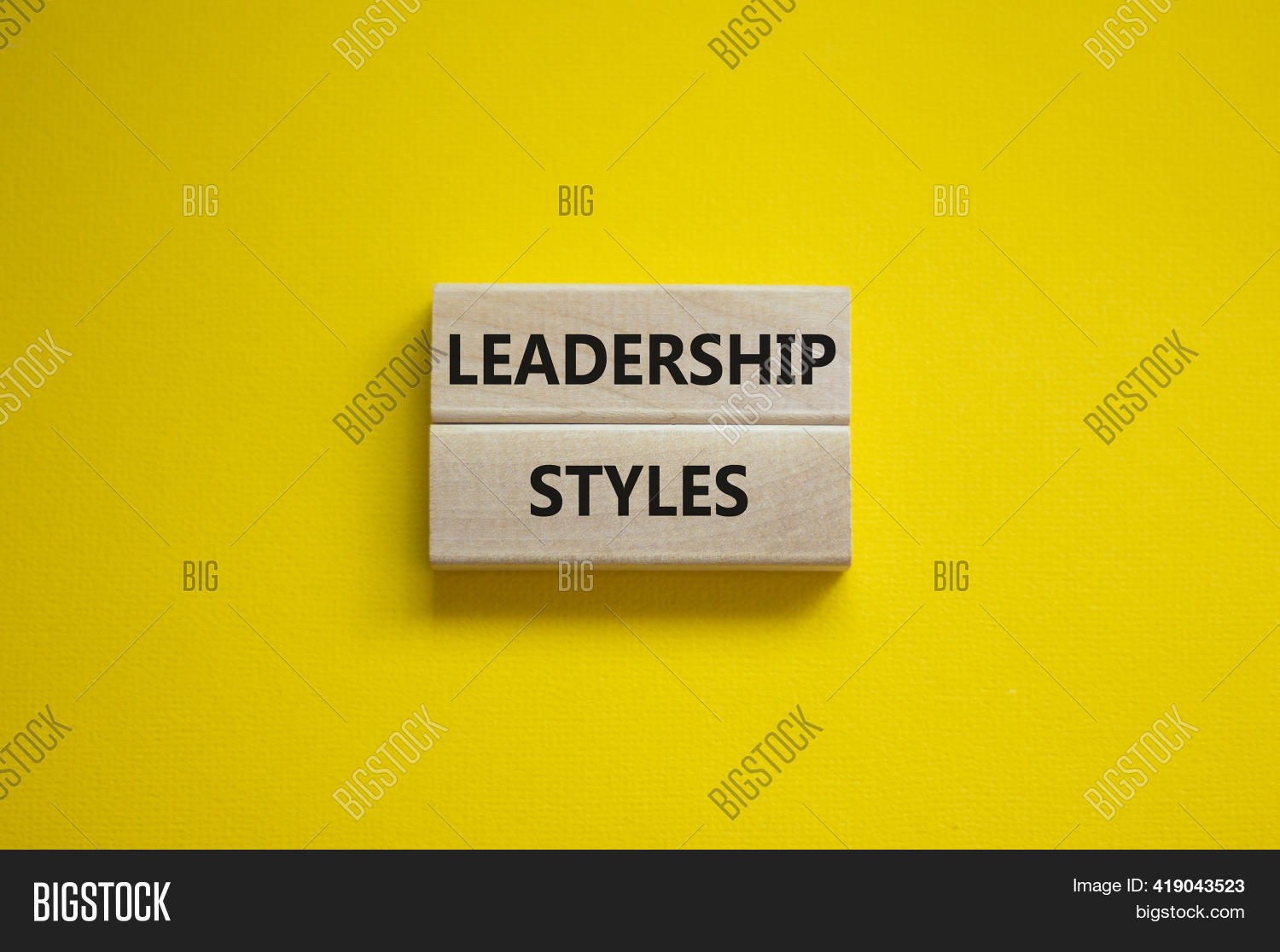 Leadership Styles Image & Photo (Free Trial) | Bigstock