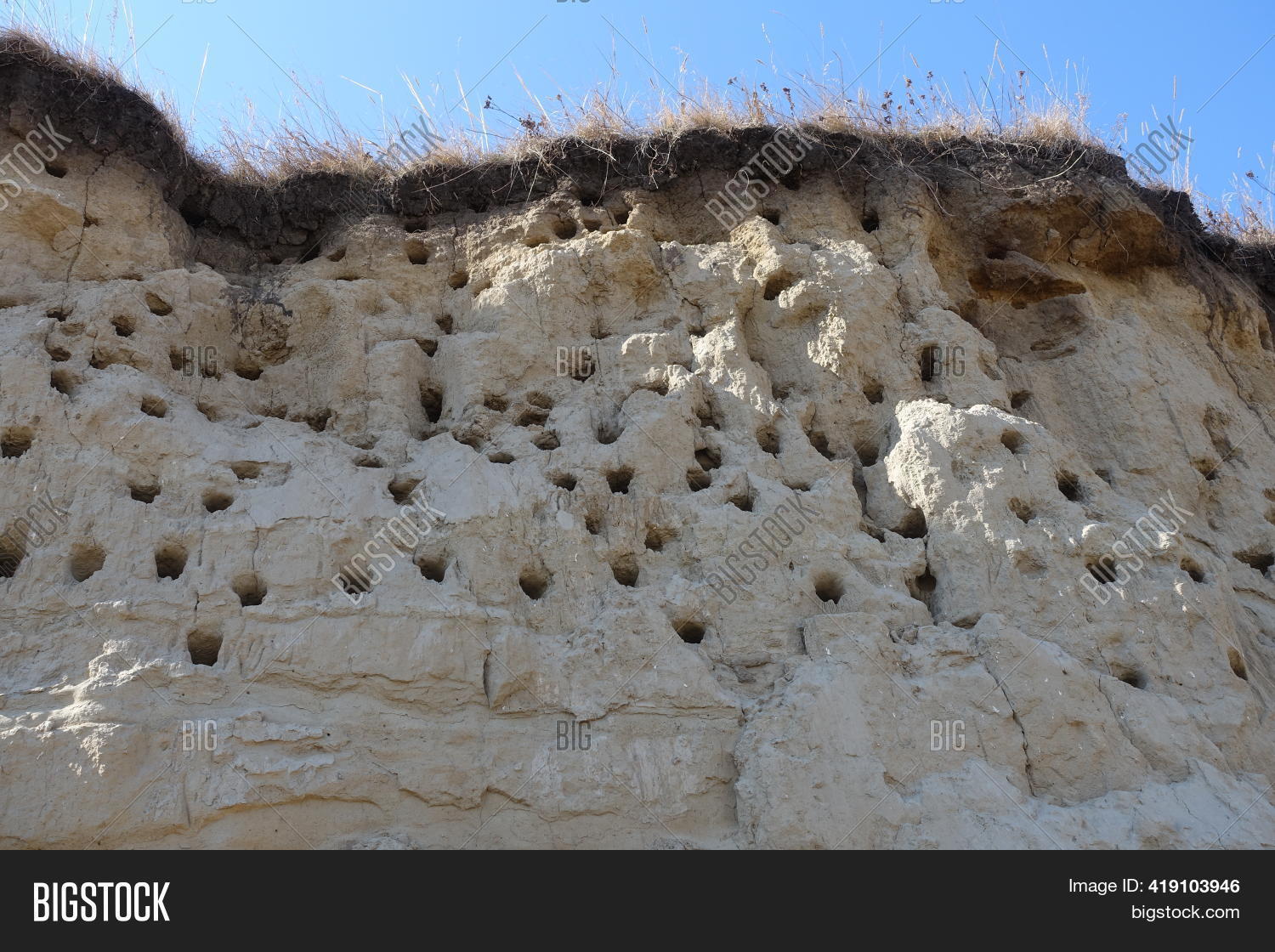 Empty Nests, Burrows Image & Photo (Free Trial) | Bigstock