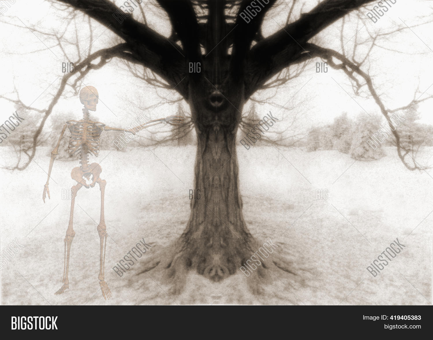 Afterlife. Skeleton Image & Photo (Free Trial) | Bigstock
