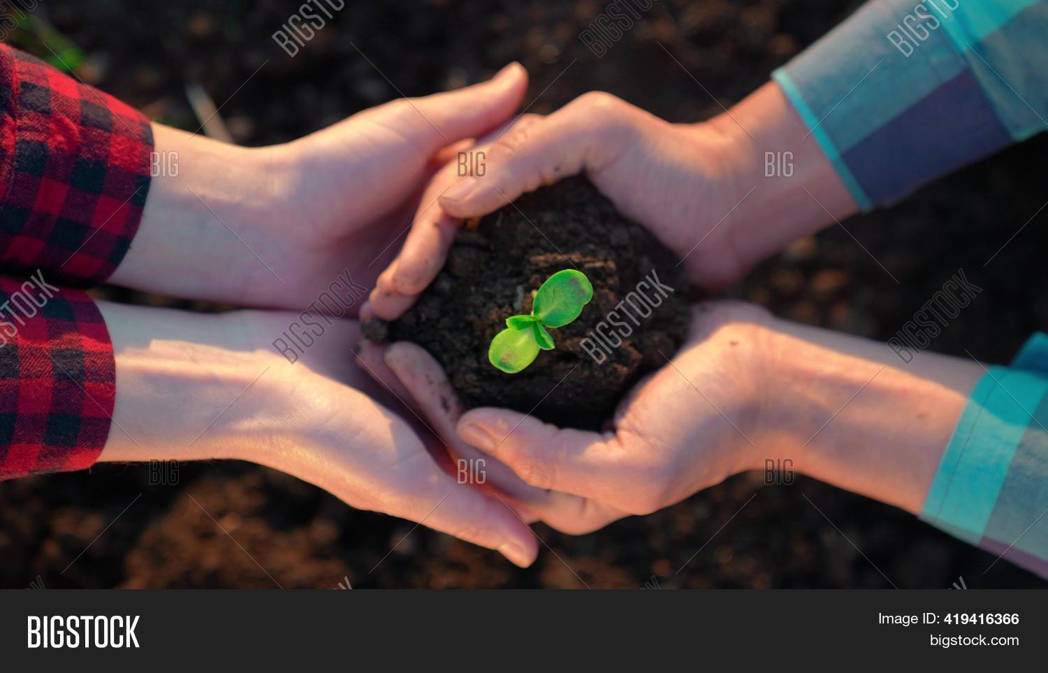 Agriculture Teamwork. Image & Photo (Free Trial) | Bigstock