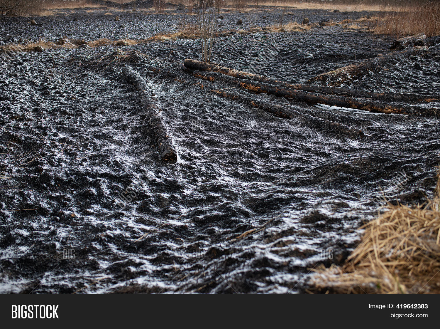 Ash Snow Lie On Black Image & Photo (Free Trial) | Bigstock