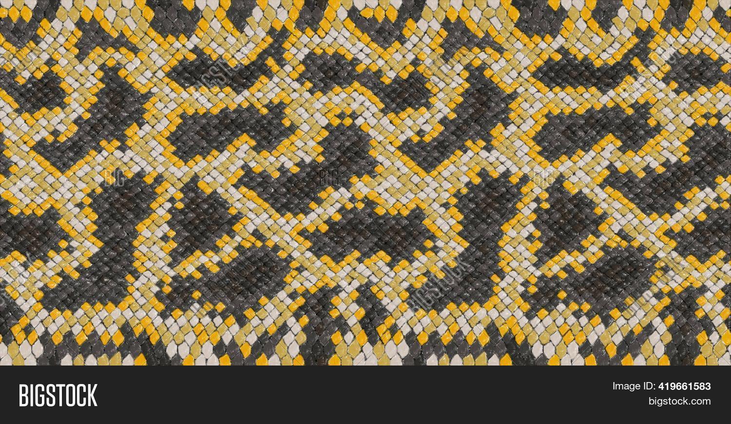 Snake Skin, Reptile Image & Photo (Free Trial) | Bigstock