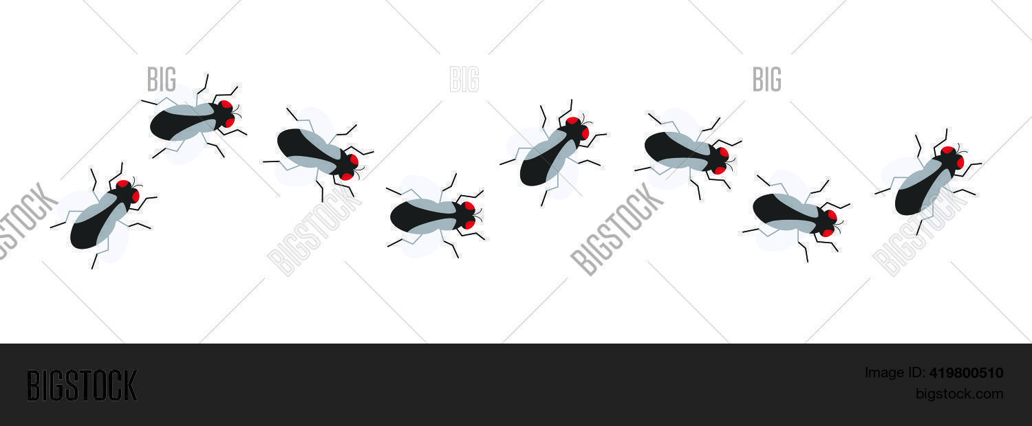 Fly Insect Icon Set. Vector & Photo (Free Trial) | Bigstock