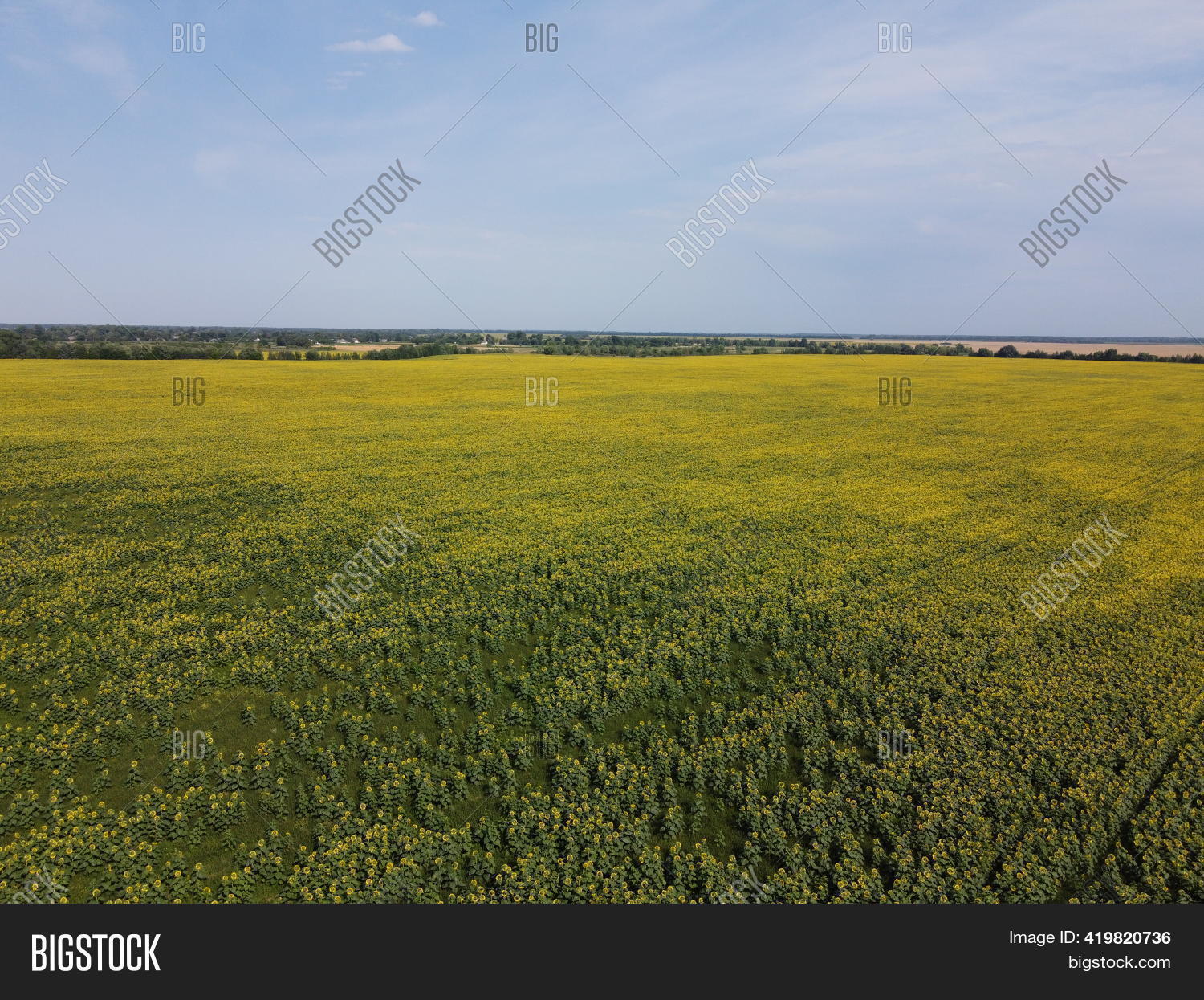 Picturesque Field Image & Photo (Free Trial) | Bigstock