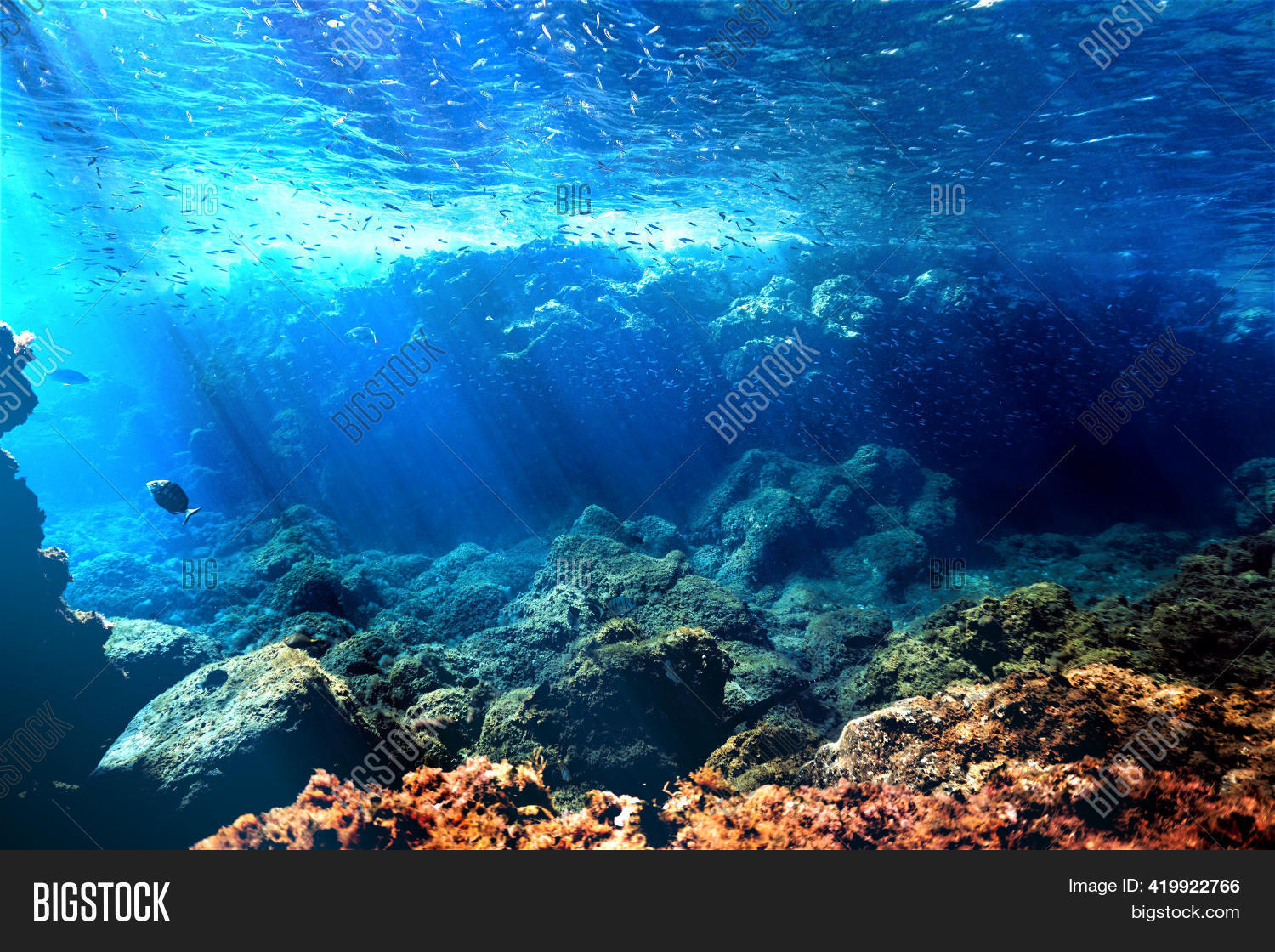 Beautiful Amazing Rays Image & Photo (Free Trial) | Bigstock