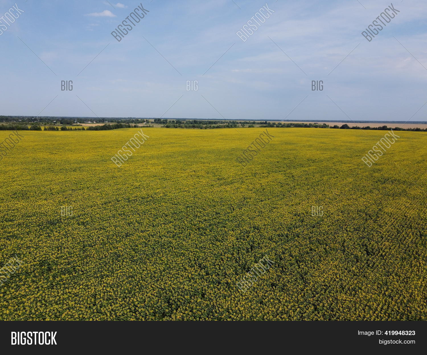 Picturesque Field Image & Photo (Free Trial) | Bigstock