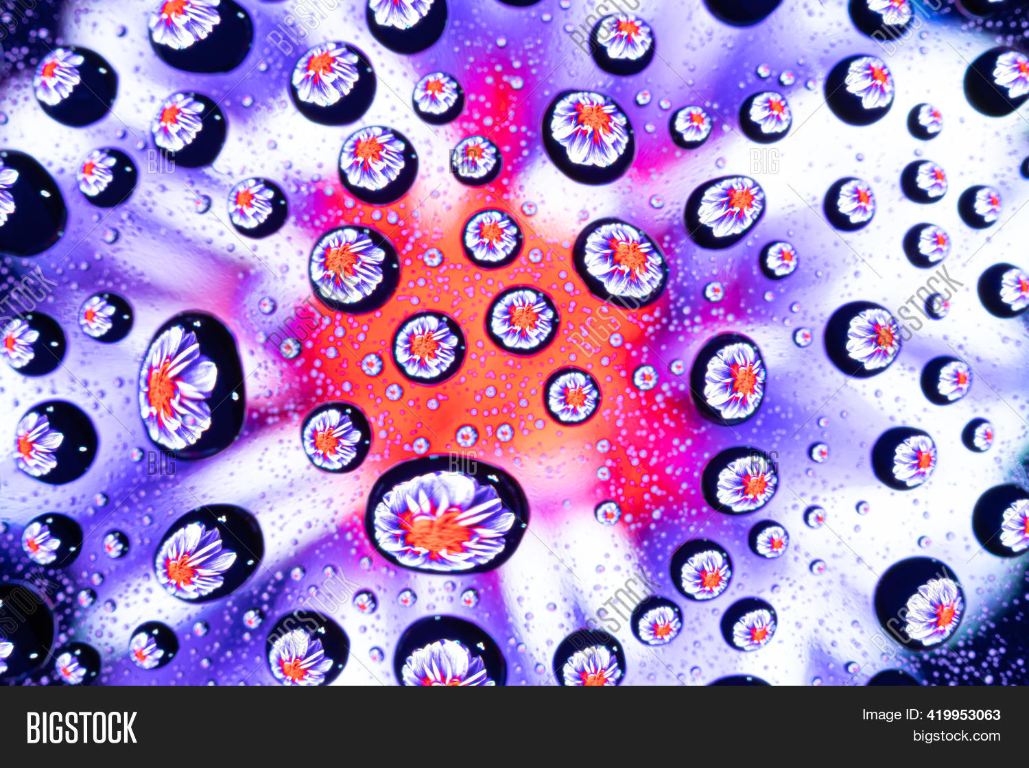 Spring Pattern Texture Image & Photo (Free Trial) | Bigstock