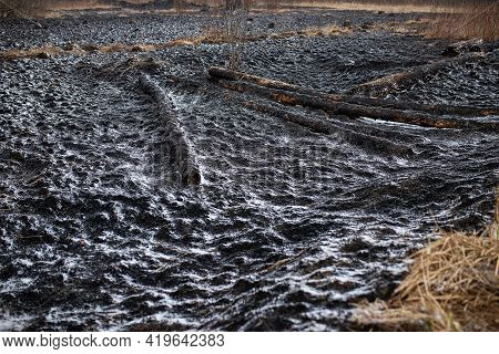 Ash Snow Lie On Black Image & Photo (Free Trial) | Bigstock