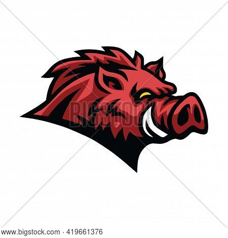 Angry Aggressive Hog Vector & Photo (Free Trial) | Bigstock