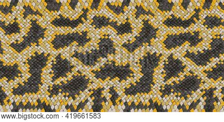 Snake Skin, Reptile Image & Photo (Free Trial) | Bigstock