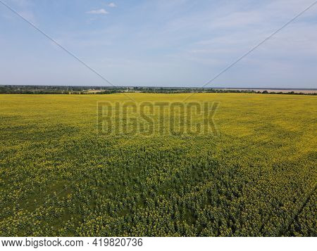 Picturesque Field Image & Photo (Free Trial) | Bigstock
