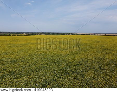 Picturesque Field Image & Photo (Free Trial) | Bigstock