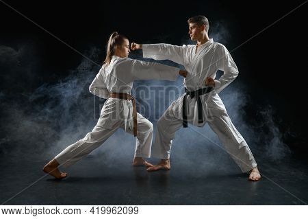 Female Karate Fighter Image & Photo (Free Trial) | Bigstock