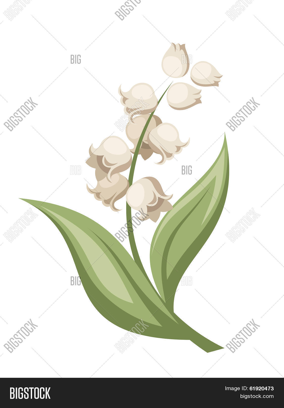 Lily Valley Flower. Vector & Photo (Free Trial) | Bigstock