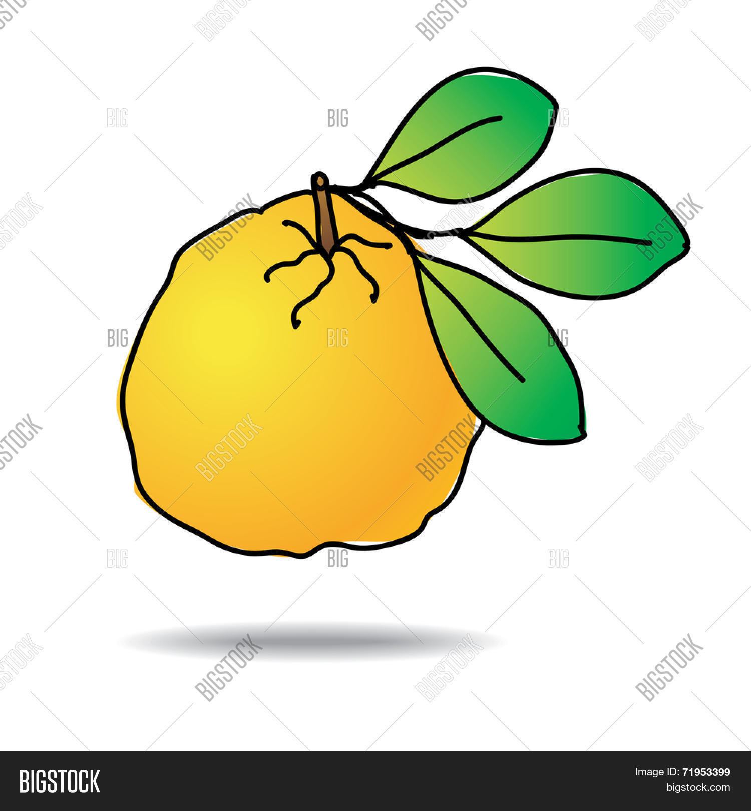 Freehand Drawing Ugli Vector & Photo (Free Trial) | Bigstock