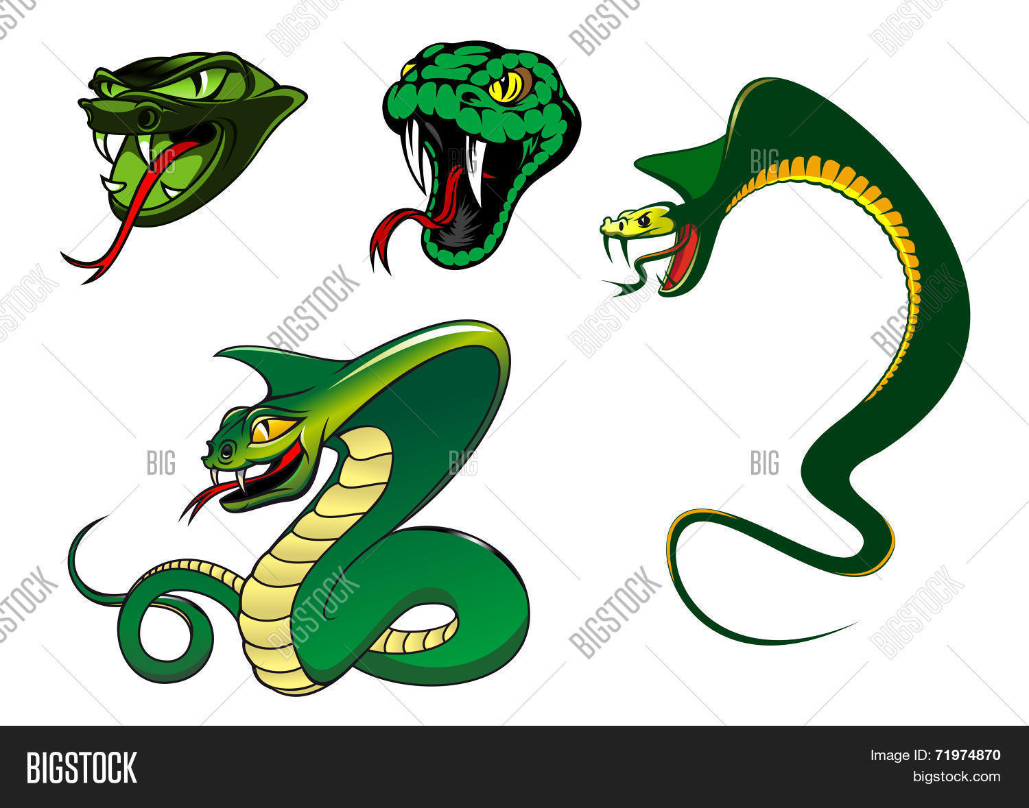 Cartoon Angry Snake Vector & Photo (Free Trial) | Bigstock