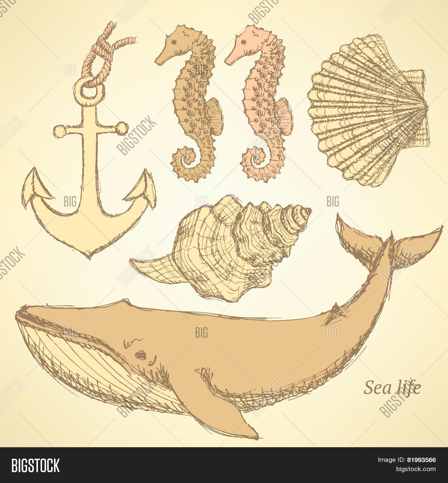Sketch Sea Creatures Vector & Photo (Free Trial) | Bigstock