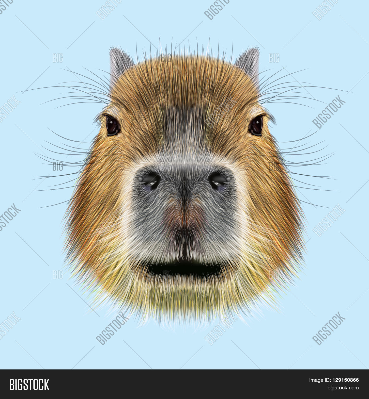 Illustrated Portrait Image & Photo (Free Trial) | Bigstock