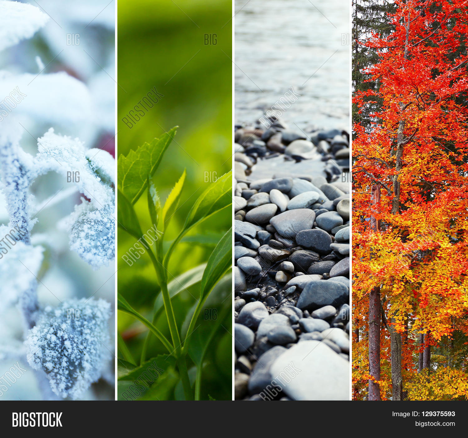 Different Seasons Year Image & Photo (Free Trial) | Bigstock