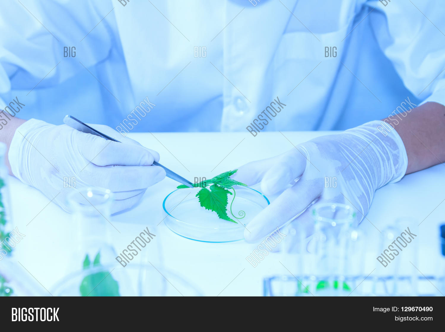 Science Biology Image & Photo (Free Trial) | Bigstock