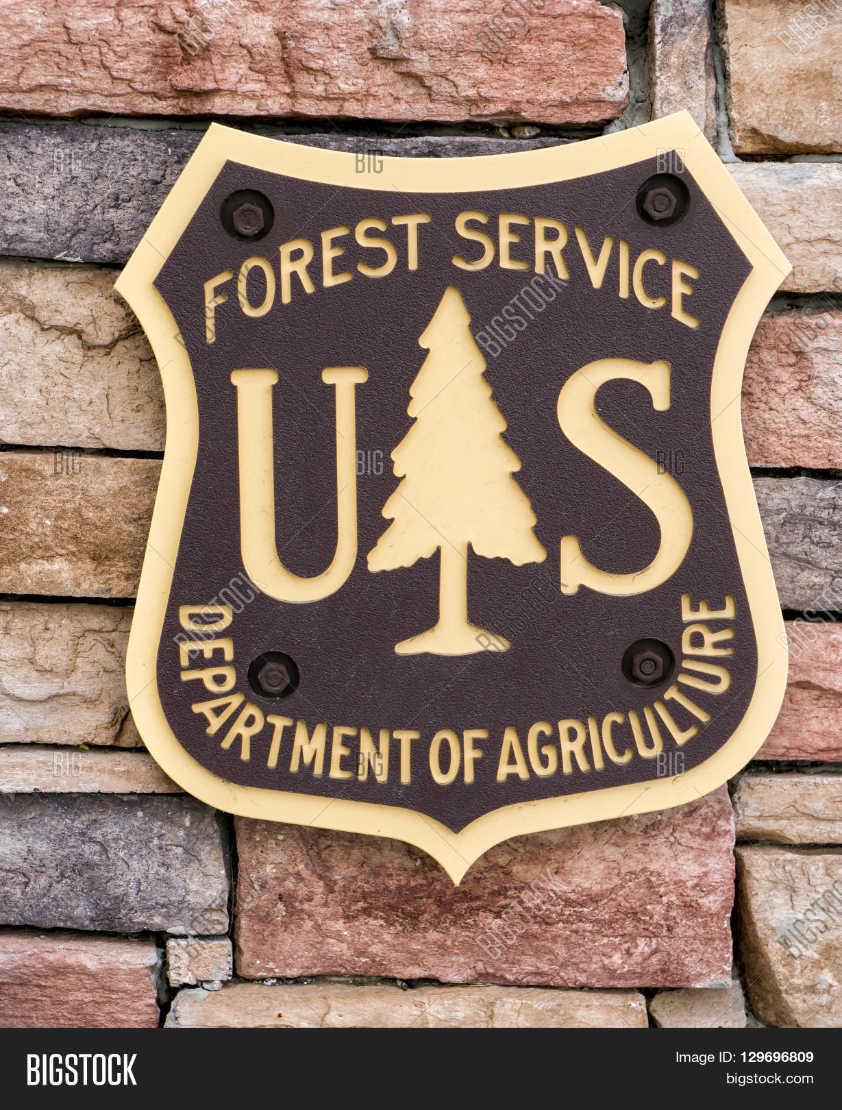 United States Forest Image & Photo (Free Trial) | Bigstock