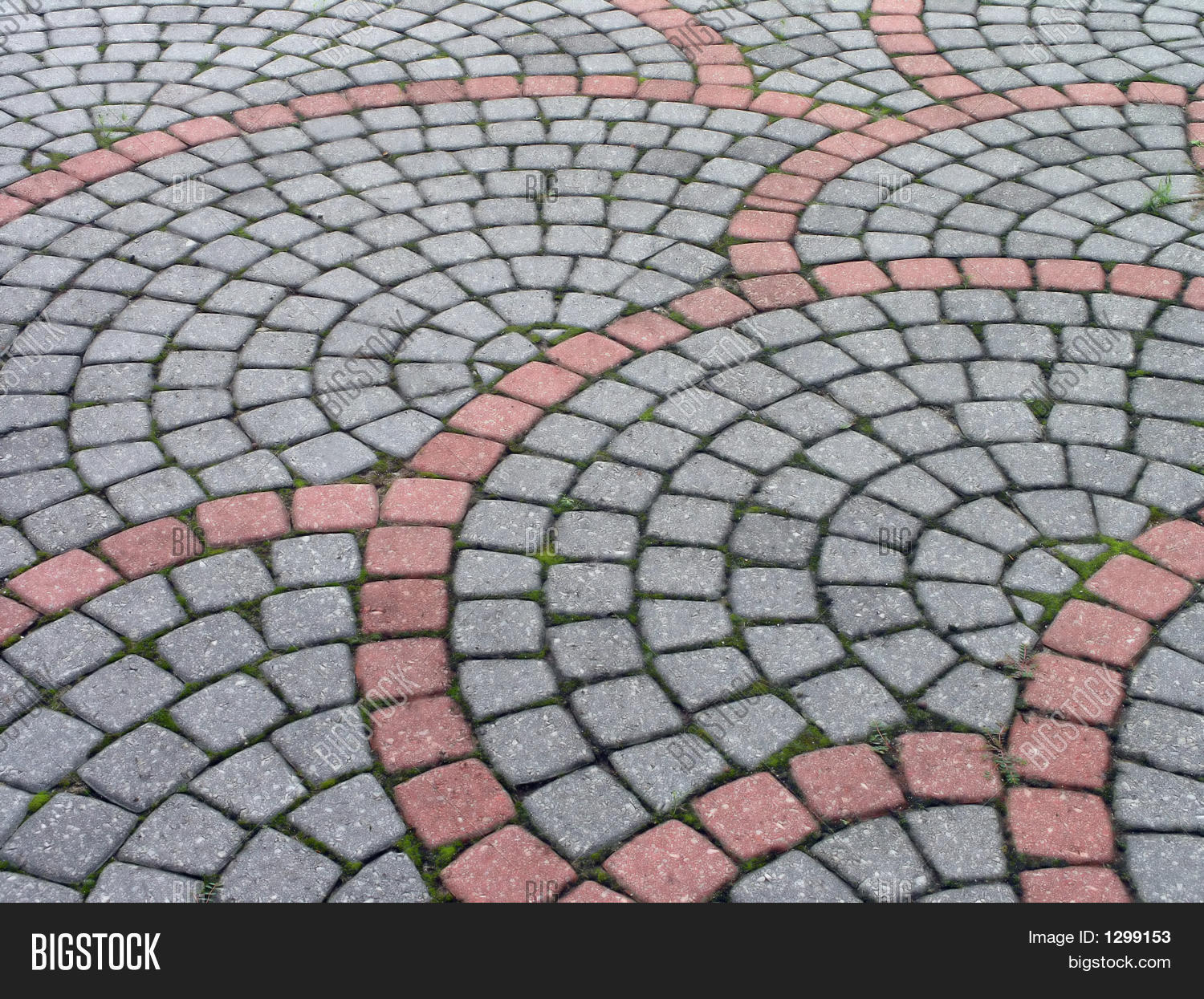 Radial Pattern Image & Photo (Free Trial) | Bigstock