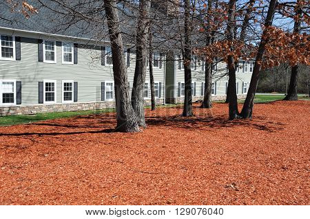 Garden New Mulch Image & Photo (Free Trial) | Bigstock