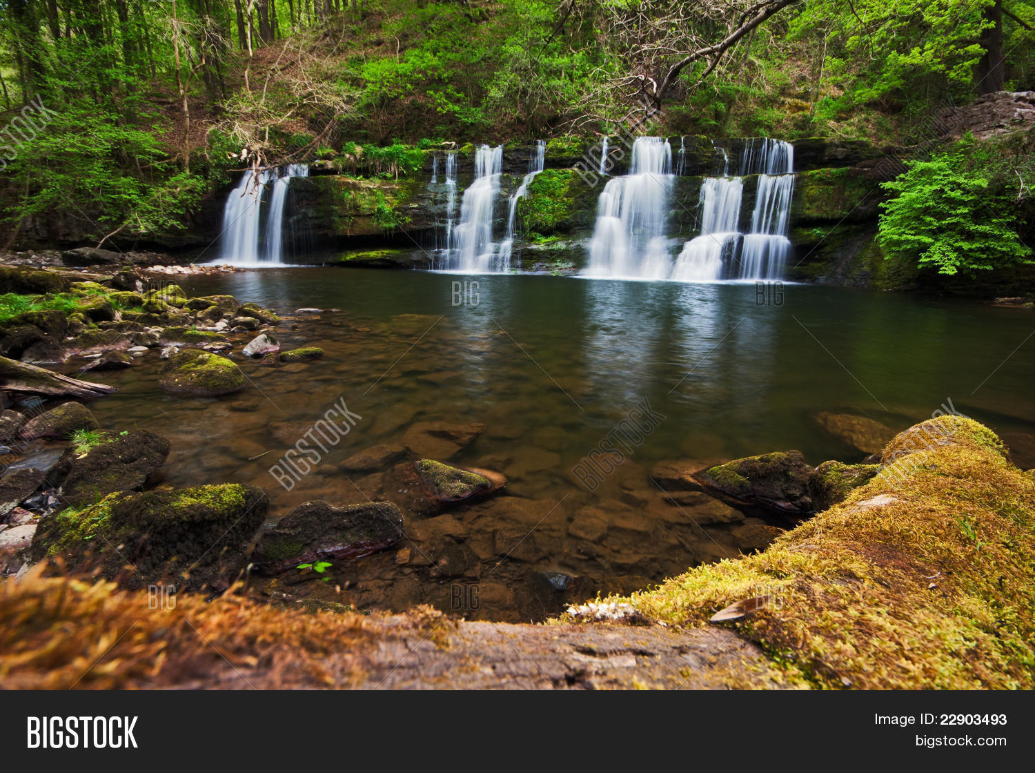 Beautiful Spring Image & Photo (Free Trial) | Bigstock
