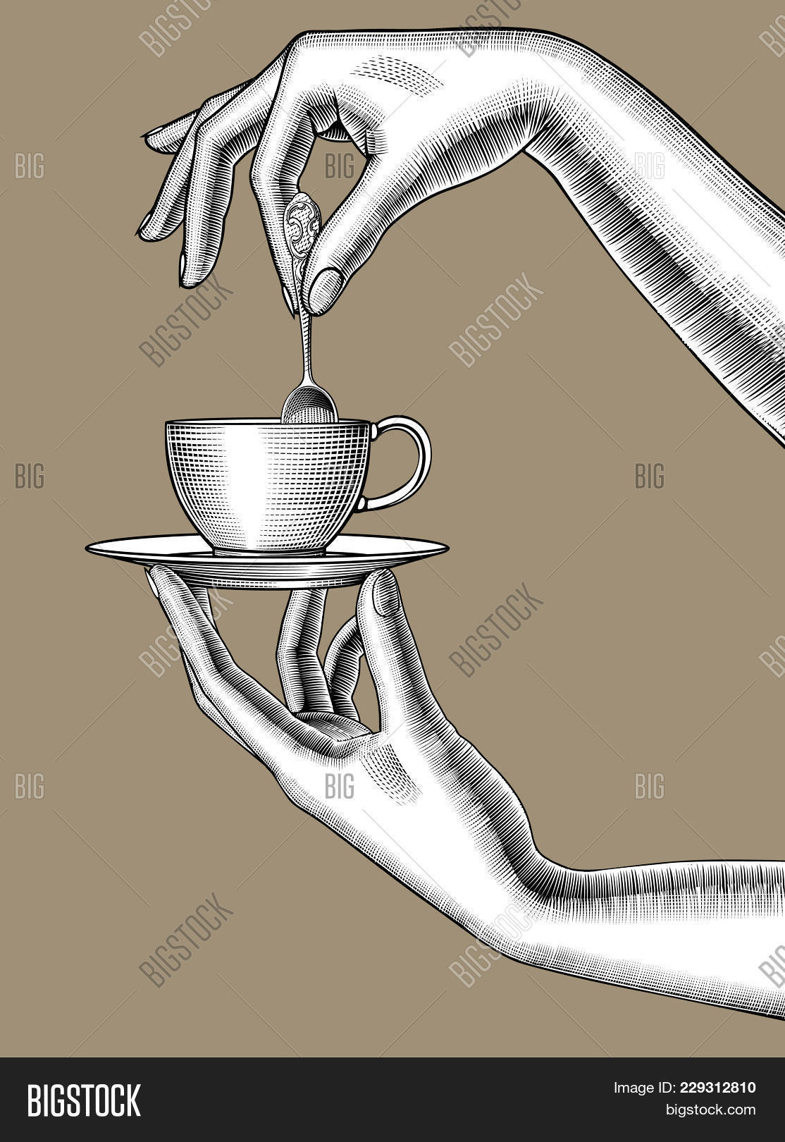 Female Cupped Hands Drawing