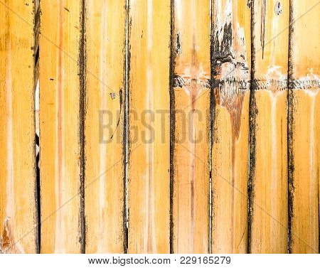 Dry Bamboo Strip Image & Photo (Free Trial) | Bigstock