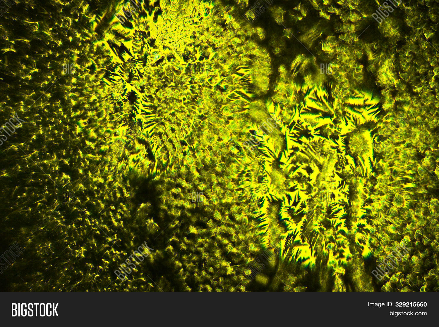 Dark Weird Abstract Image & Photo (Free Trial) | Bigstock