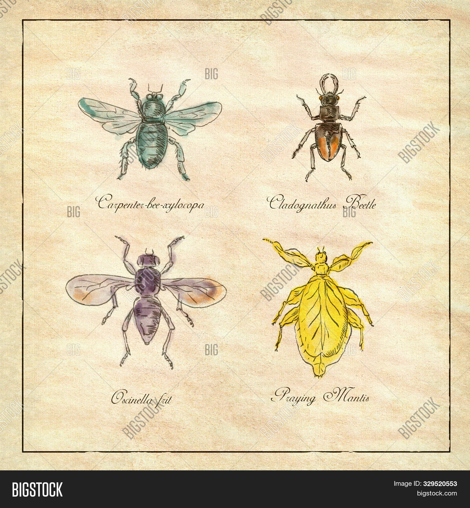 Vintage Victorian Image & Photo (Free Trial) | Bigstock