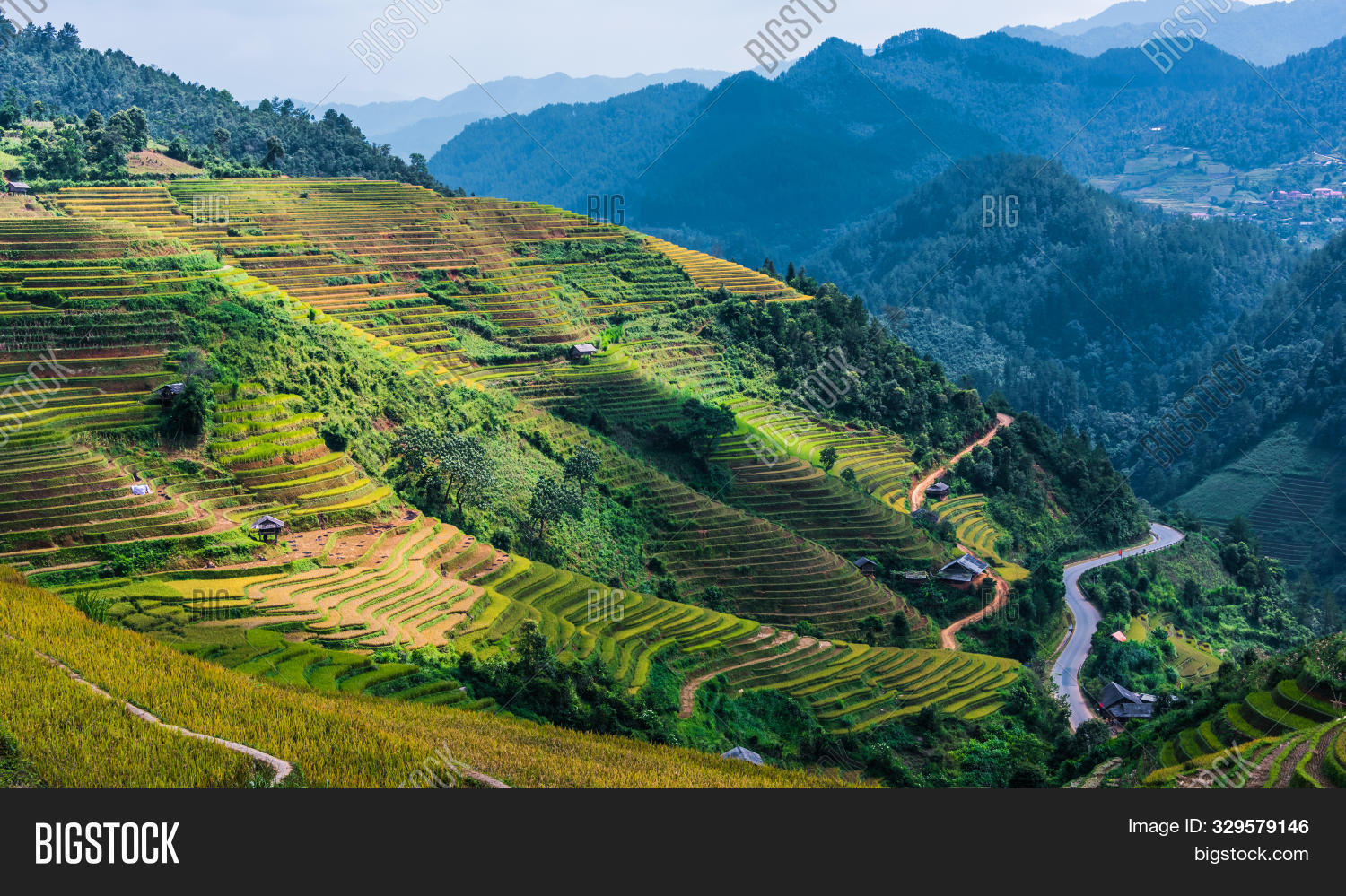 Landscape View Rice Image & Photo (Free Trial) | Bigstock