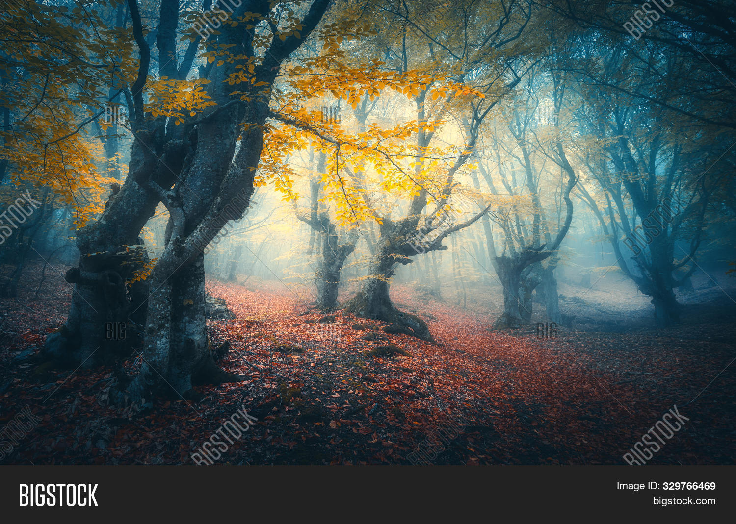 Beautiful Mystical Image & Photo (Free Trial) | Bigstock